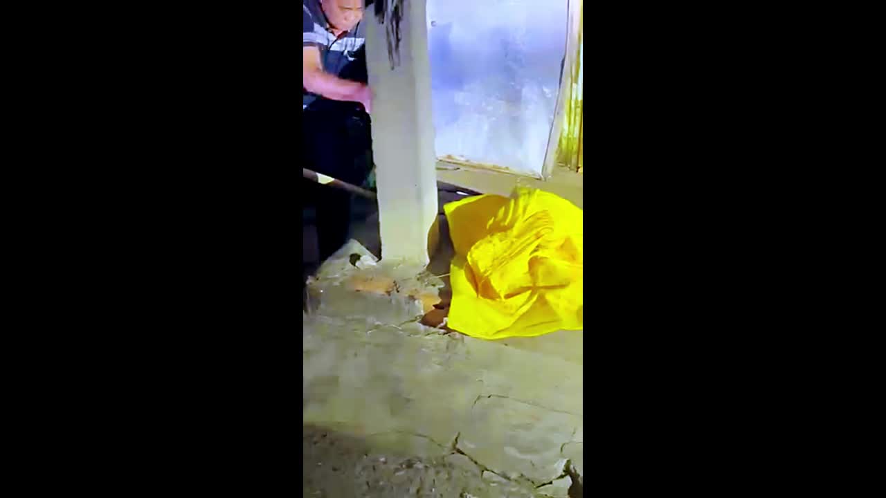 Terrified neighbours watch as python is caught inside house in Vietnam