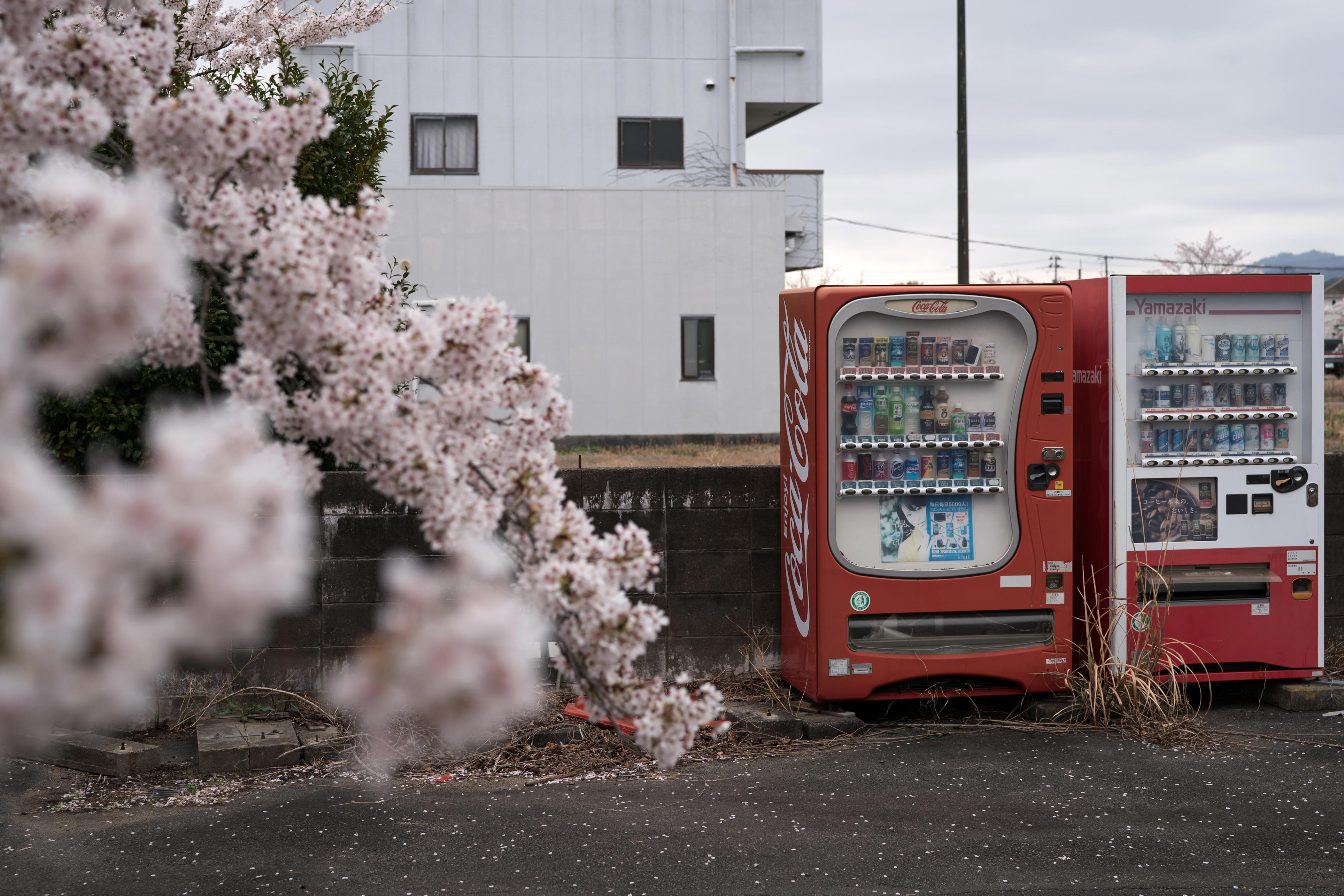 The surprising reasons Japan's streets stay clean without trash cans