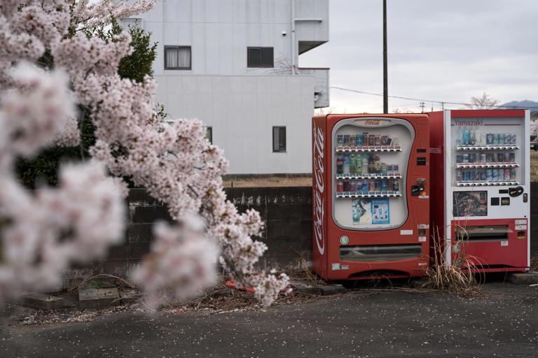 The surprising reasons Japan's streets stay clean without trash cans