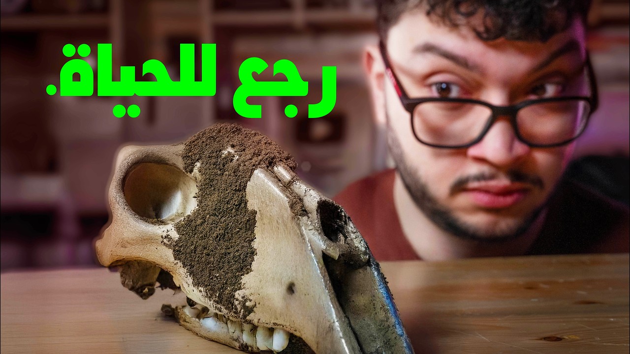 Scientists have brought back an extinct creature