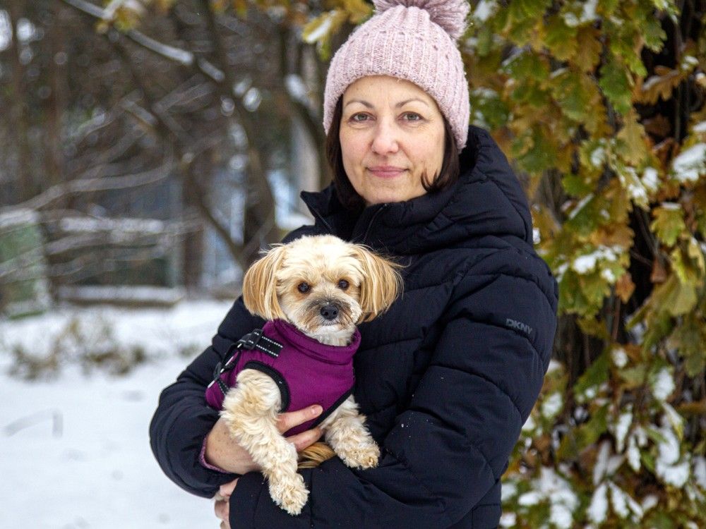 Deachman: Ottawa's 'inclusive' dog park policy drives small dogs away