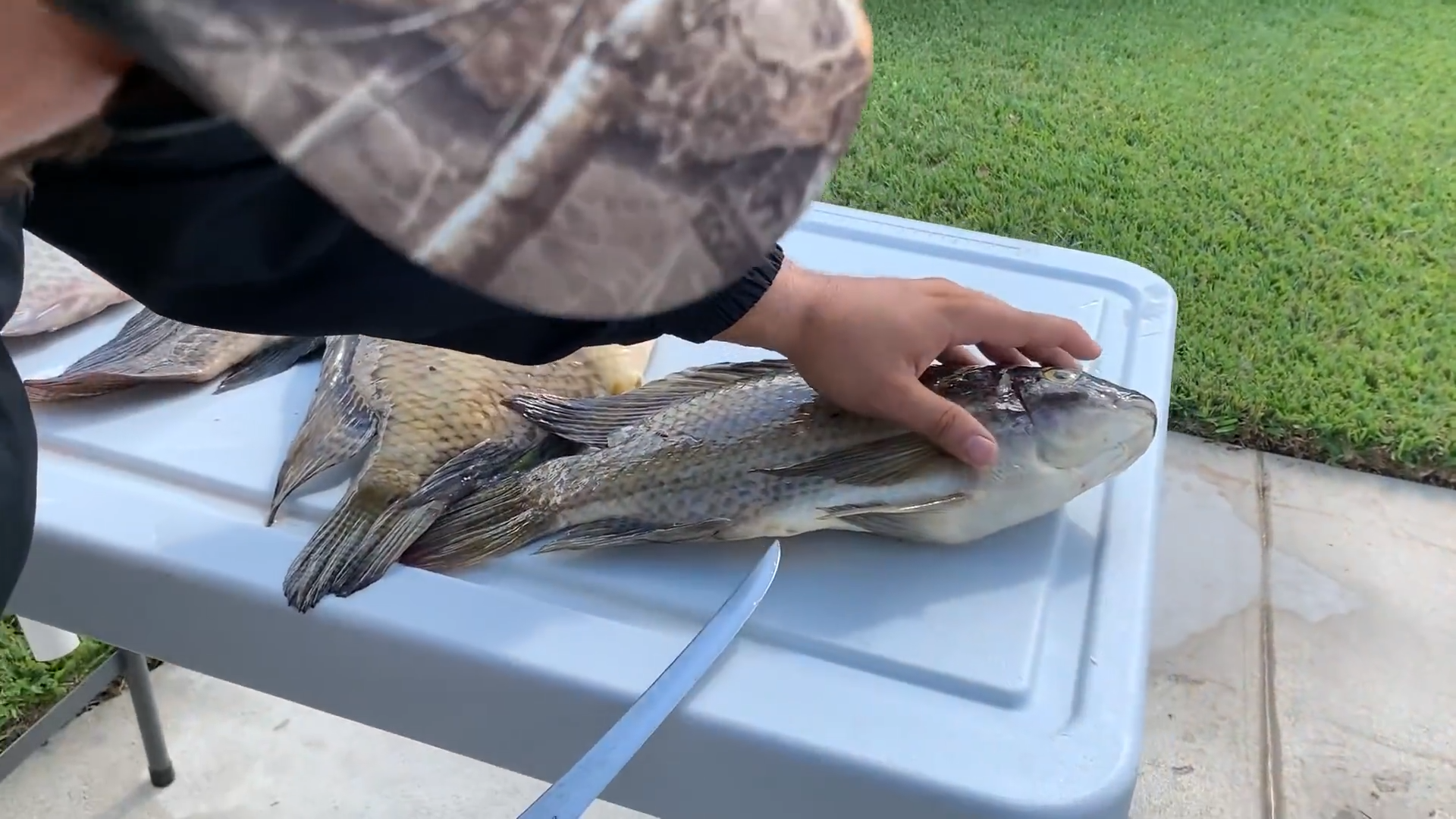 What’s hiding inside this tilapia? Shocking fish autopsy results!