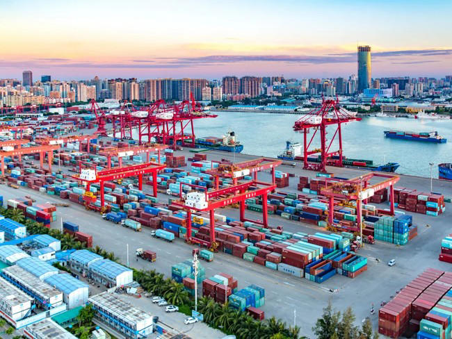 Hainan Free Trade Port launch creates new pathways for South African ...