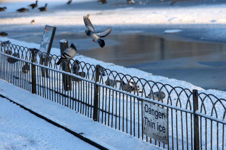 The Greater Manchester park that’s stunning in the snow - and features ...