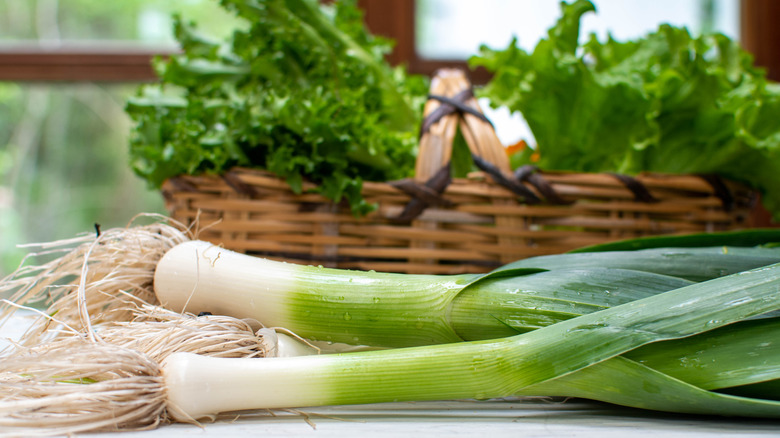 8 tips you need when cooking leeks