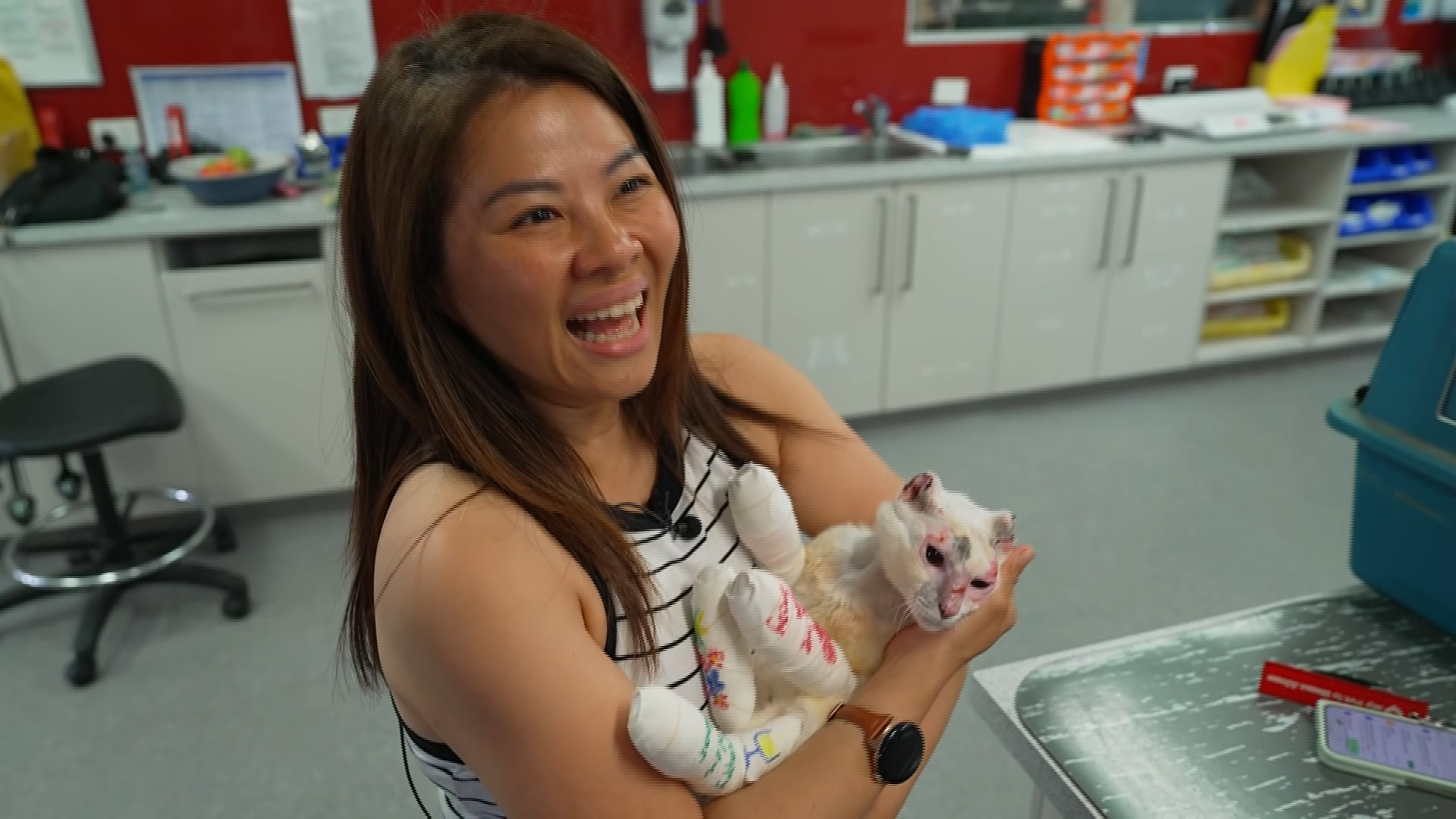 Woman who lost home in Koolewong bushfire reunited with cat seriously ...