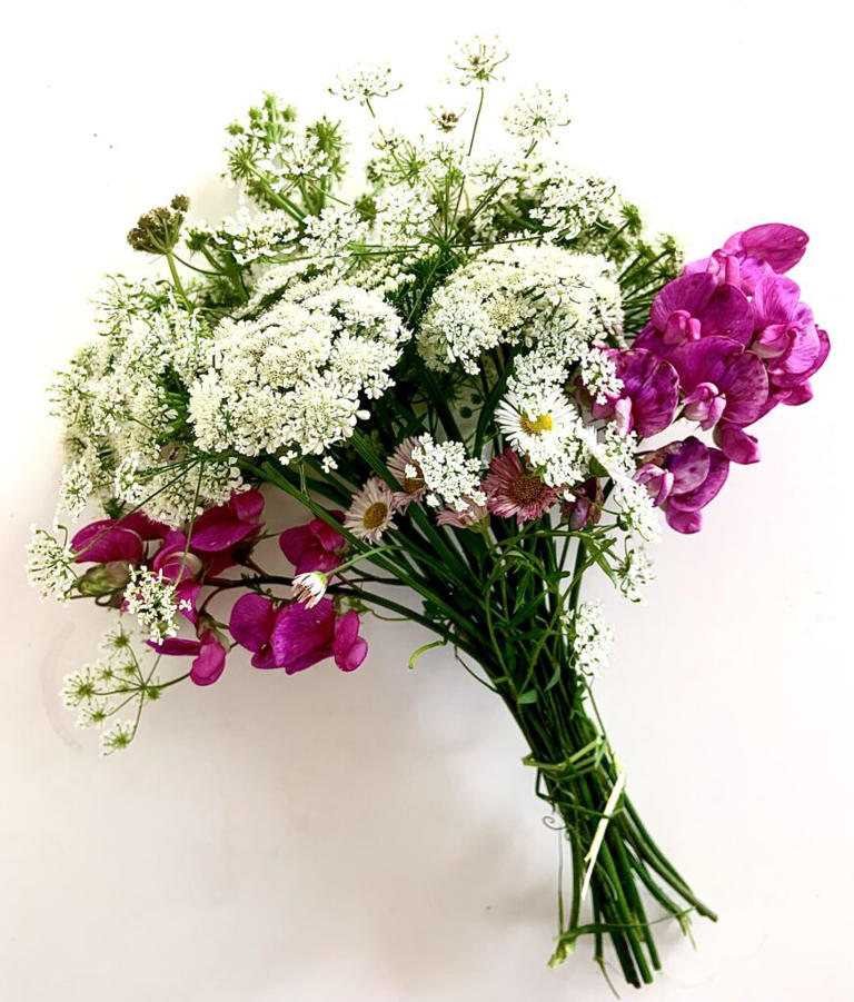 Un giardino per ogni pianta e una pianta per ognuno di noi