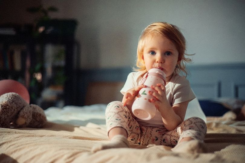 Full list of baby formula recalled over cereulide poison fears