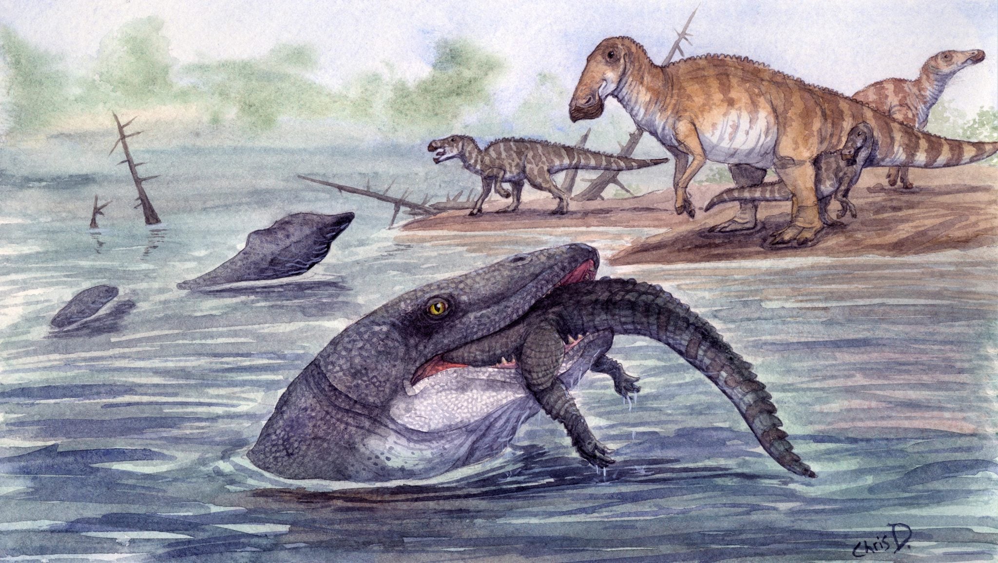 🦕 Mosasaurs, the Cretaceous ocean monsters, also lived in rivers