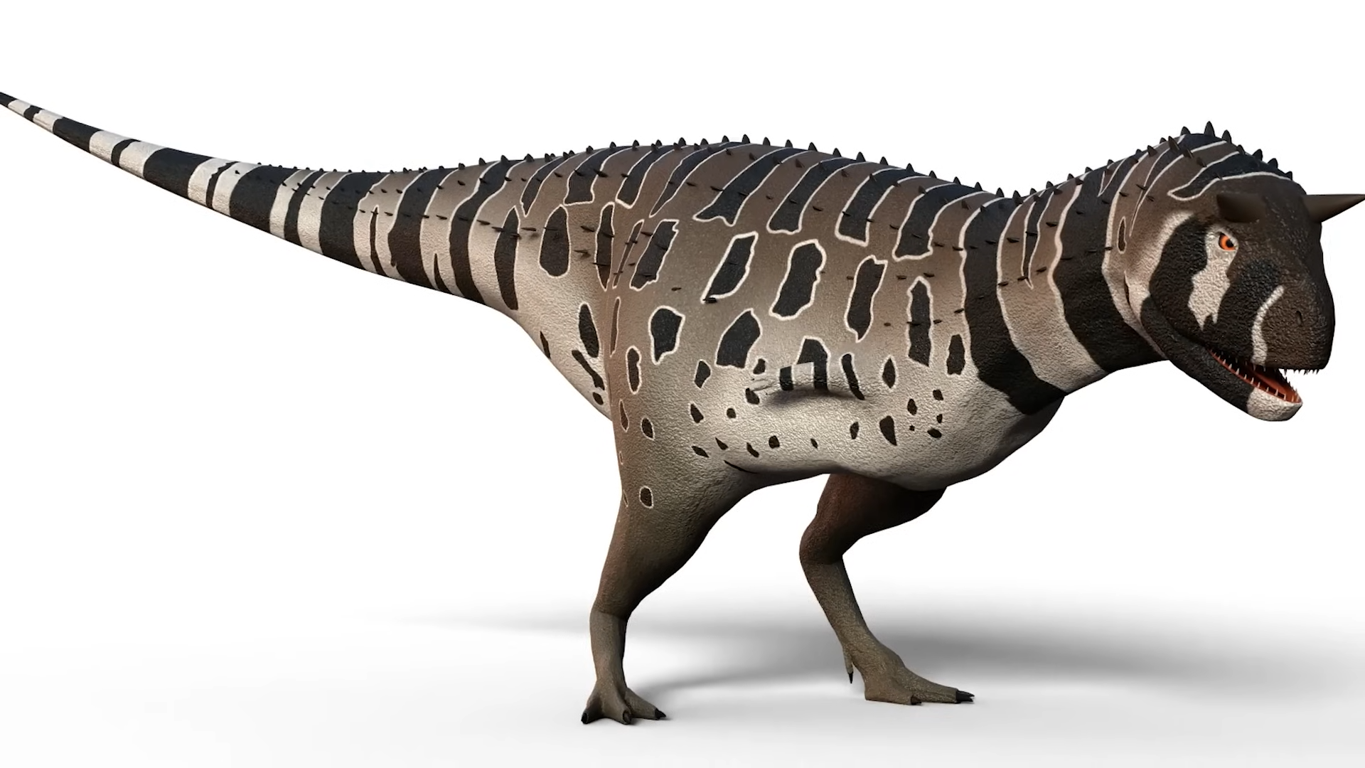 Why this horned killer hunted differently than T rex