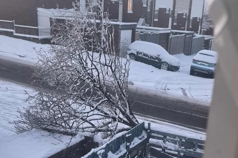 Family's 2am 'rude awakening' as council snow plough fells tree in ...