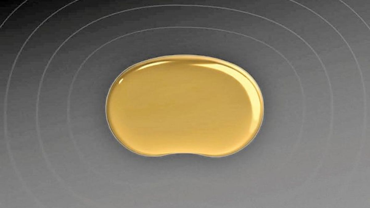 Zomato CEO Deepinder Goyal’s temple device has 0 scientific standing ...