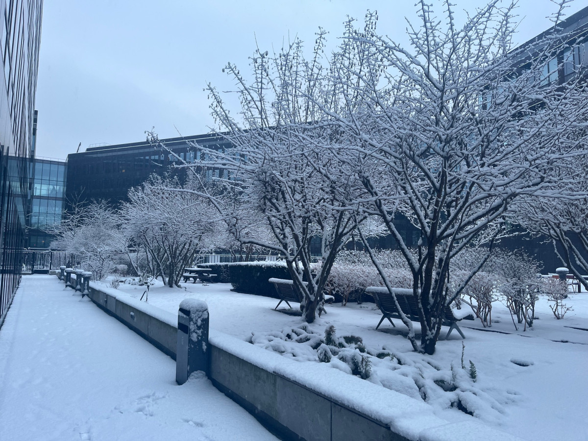 Météo Île-de-France : chute de neige confirmée pour mercredi, vigilance ...