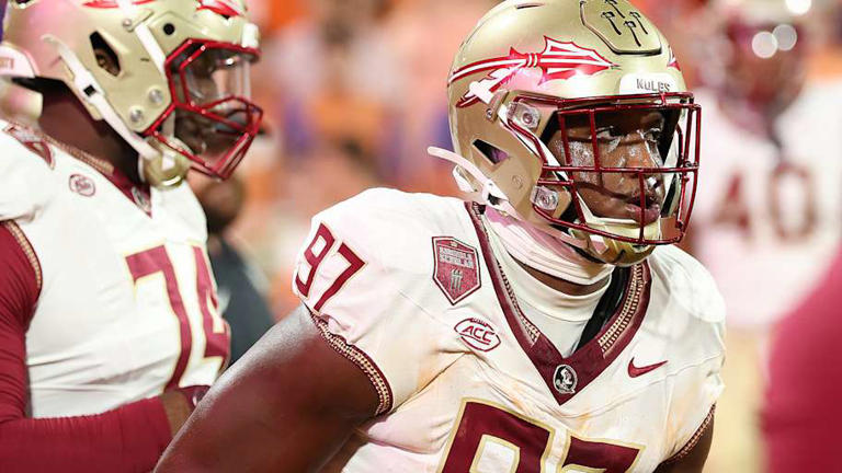 Mississippi State lands former Florida State pass-rusher out of ...