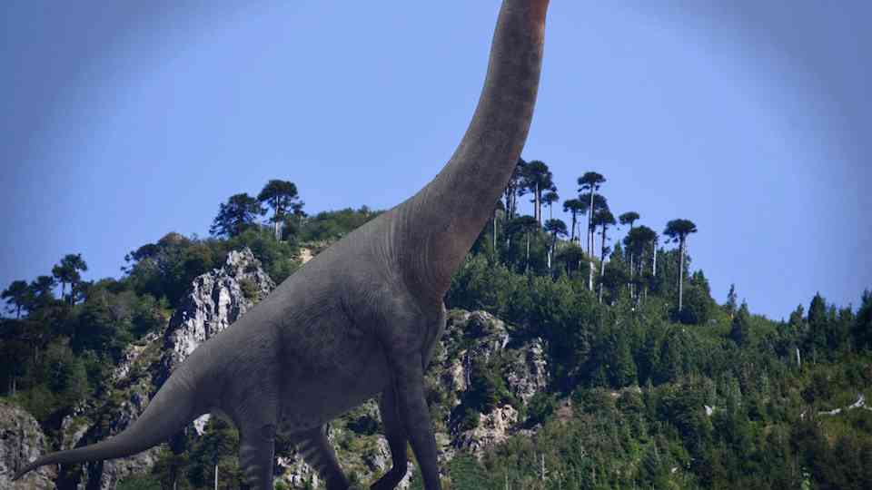How a single dinosaur redefined size on land