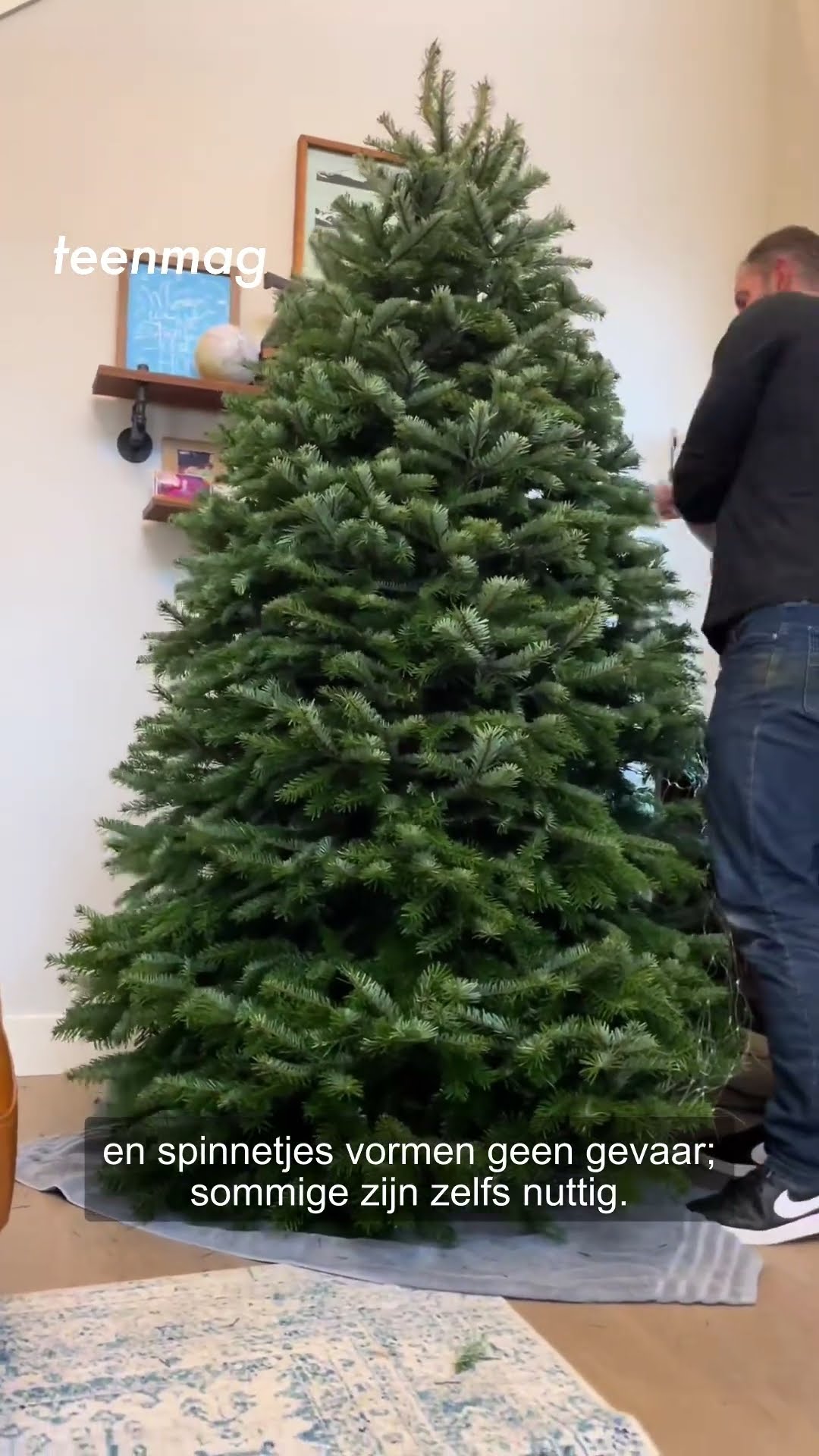 Jouw kerstboom zit vol met mini-beestjes