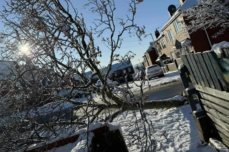 Family's 2am 'rude awakening' as council snow plough fells tree in ...