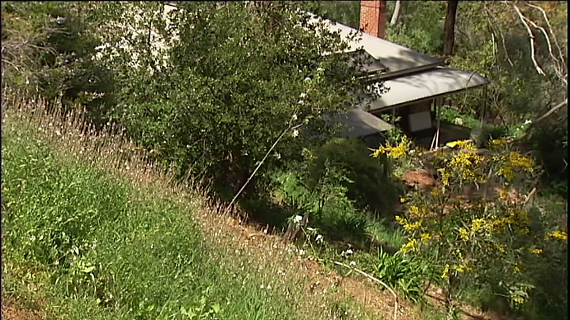 Report finds every capital except Darwin is at risk from bushfires