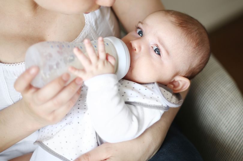 What is cereulide, the food poisoning toxin linked to baby formula