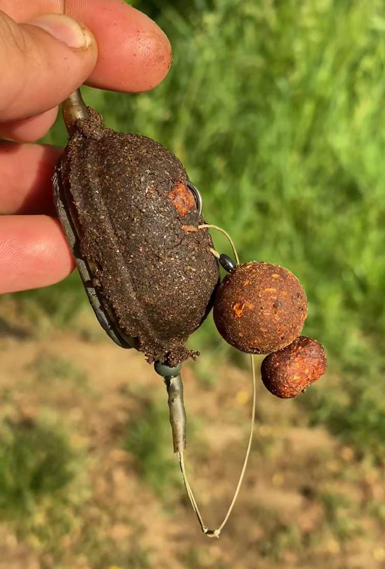 Ultimate carp rig montage