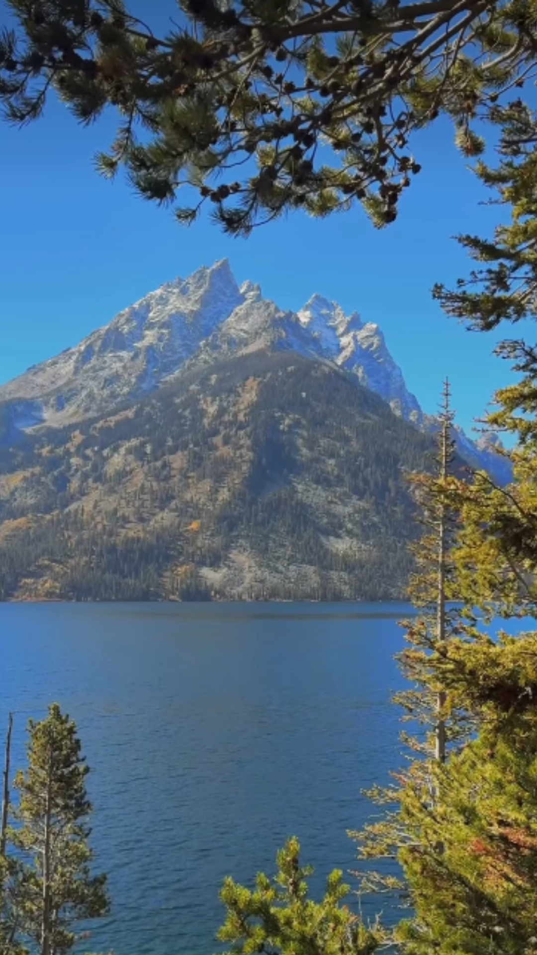Wyoming travel dream: Mountains, bison, and big views