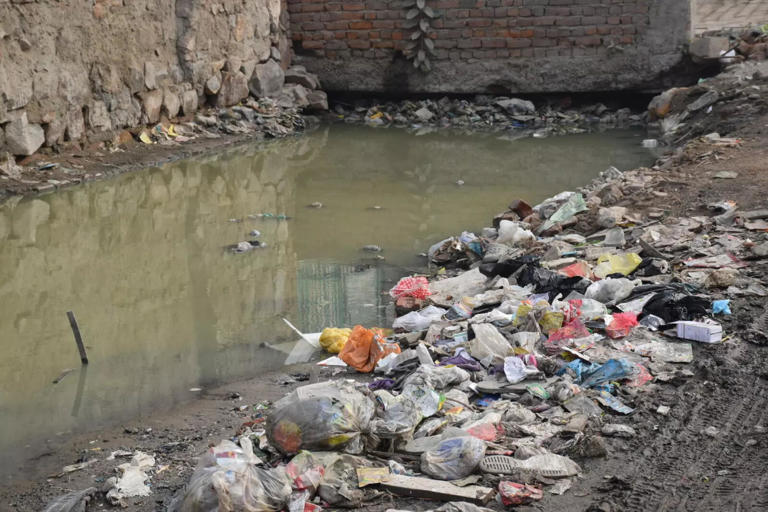 Swimming to Shaheen Bagh: Key Okhla road turns into open sewer