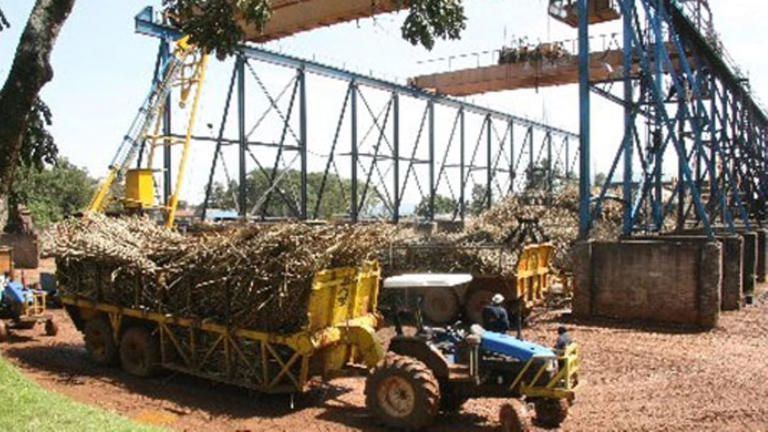 Nzoia Sugar makes major comeback, hits full 3,000-tonne daily production