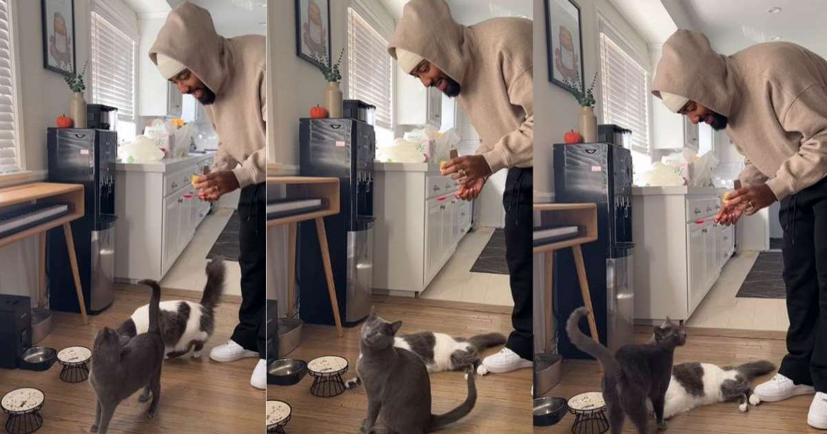 Viral video shows cat singing with owner