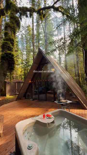 Cozy cabin with stunning views in Washington state