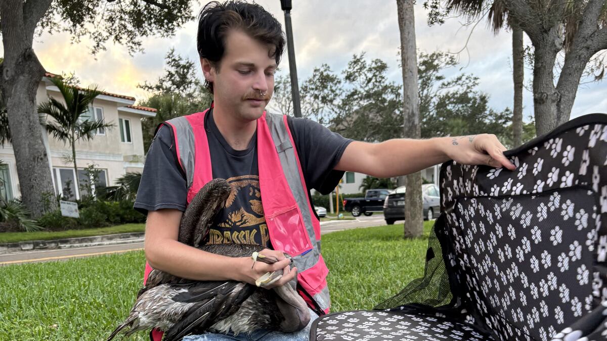 See an injured animal? Call these Tampa Bay student rescuers