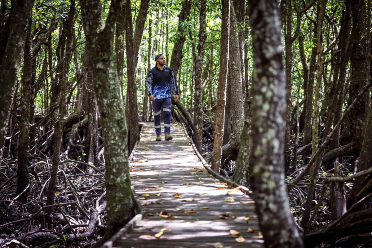Climat - Réchauffement climatique : la mortalité des arbres s'accélère ...