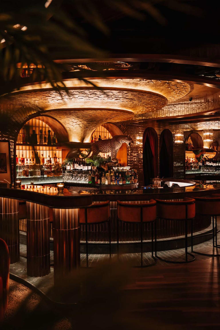 Austin's best nonalcoholic drinks make Dry January actually enjoyable