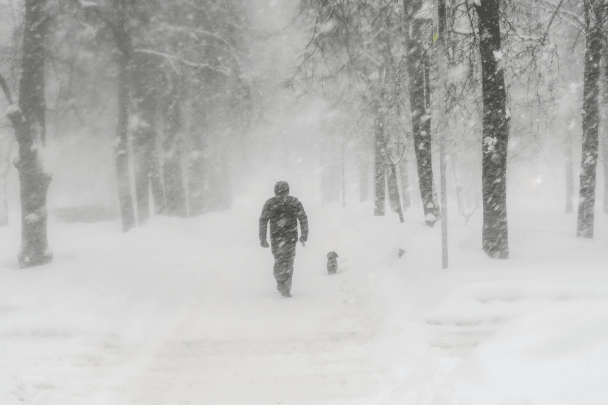 Up to 30cm of snow – UK weather warnings extended as blizzard ...