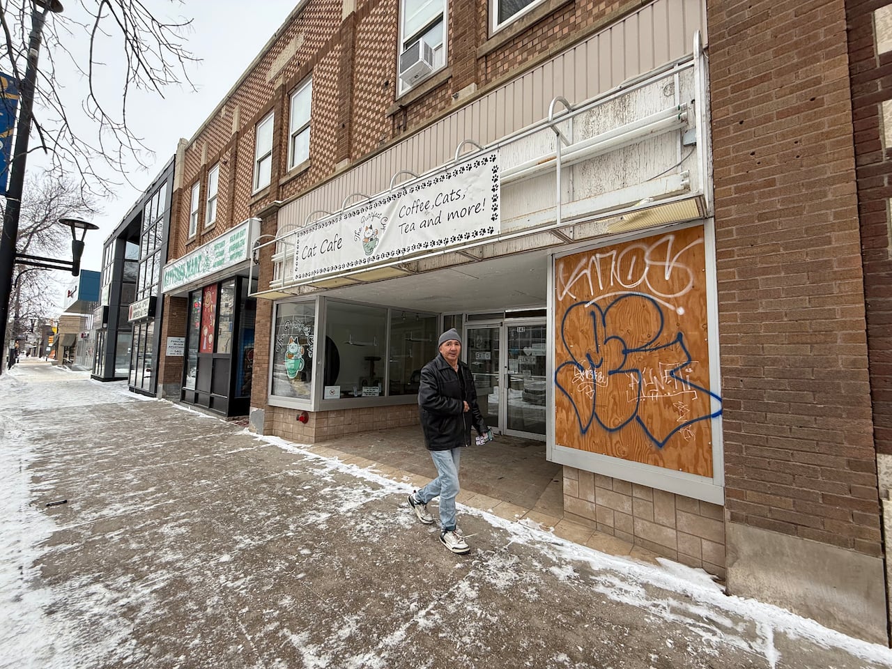 Vandalism, safety concerns push Saskatoon’s only cat café to relocate