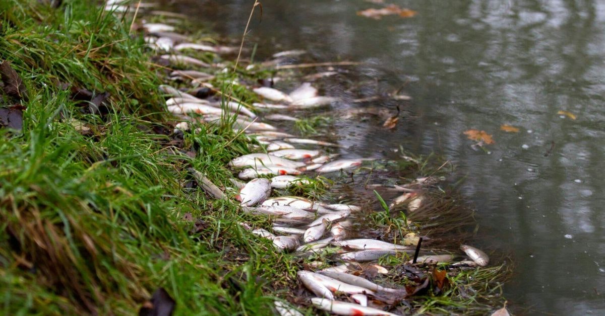 Breakthrough technology aims to tackle water pollution