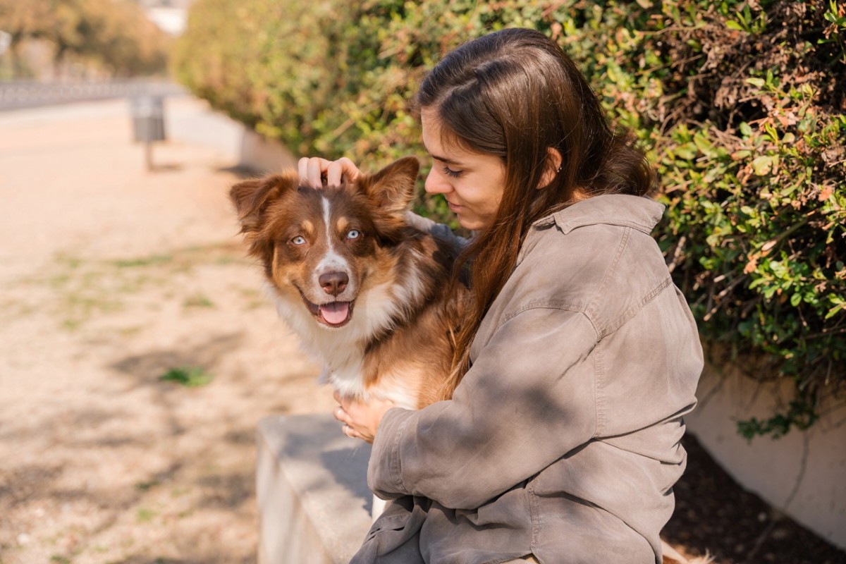 305+ names for dogs with blue eyes: Huskies & more
