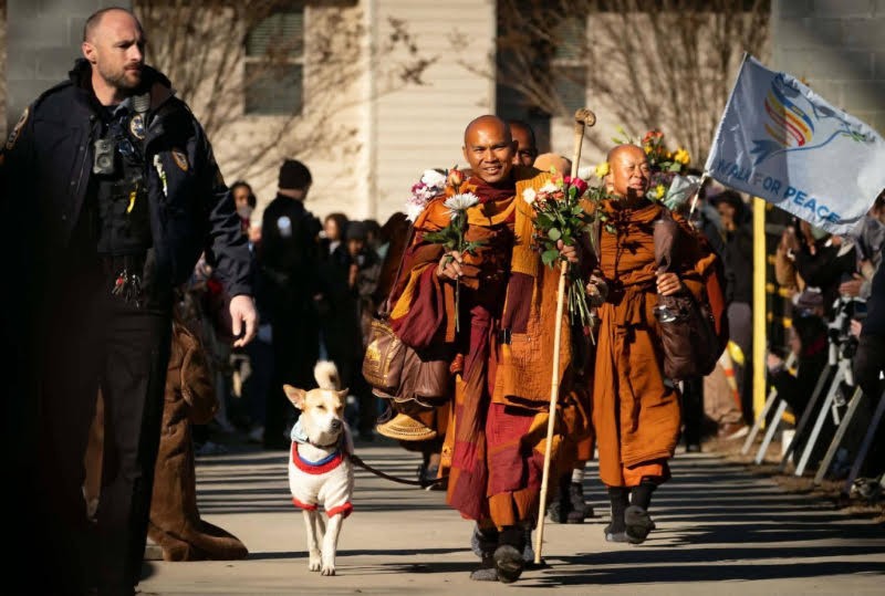 From Indian streets to America's highways: How Aloka 'the Peace Dog ...