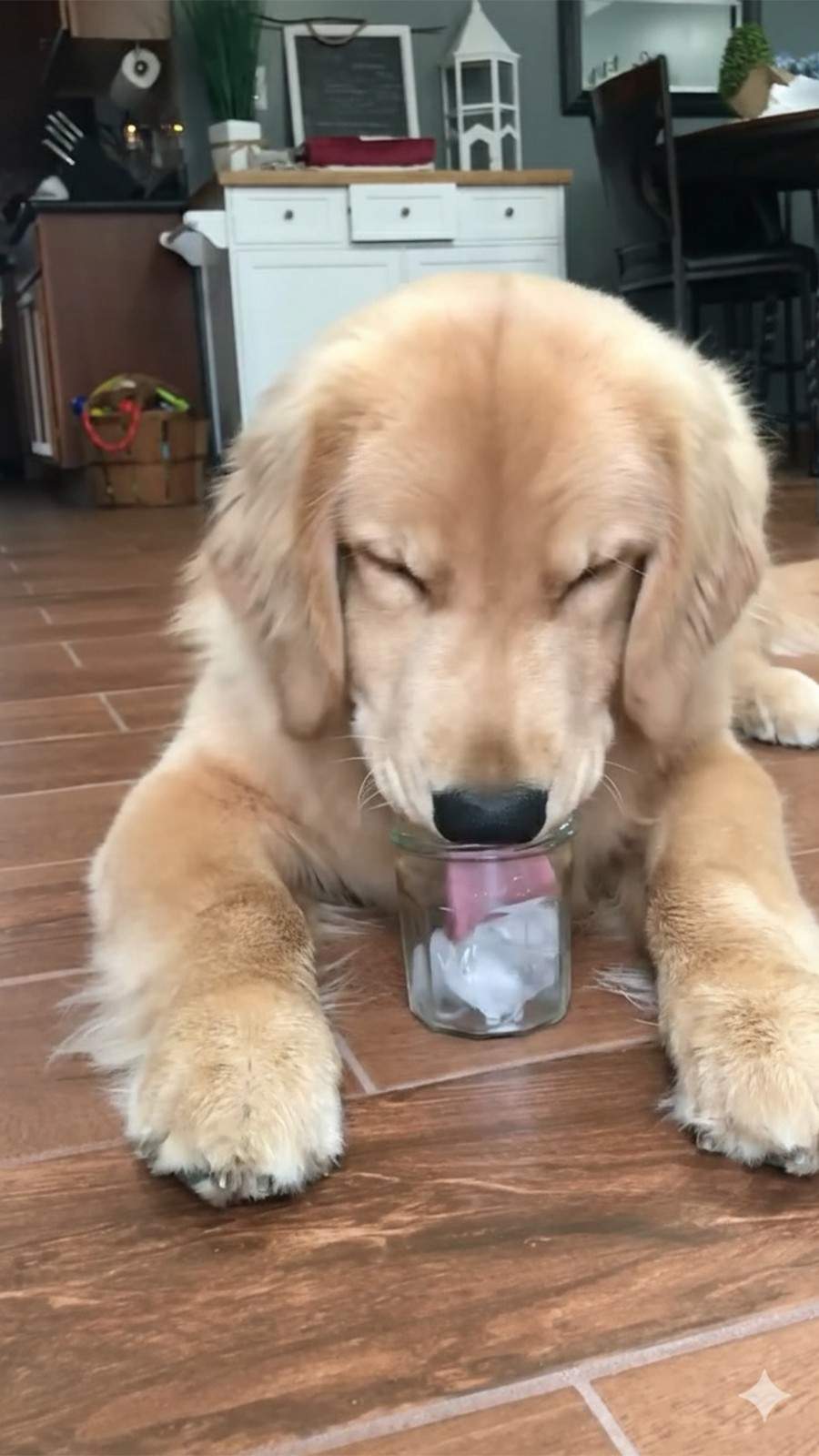 Ice cubes stand no chance