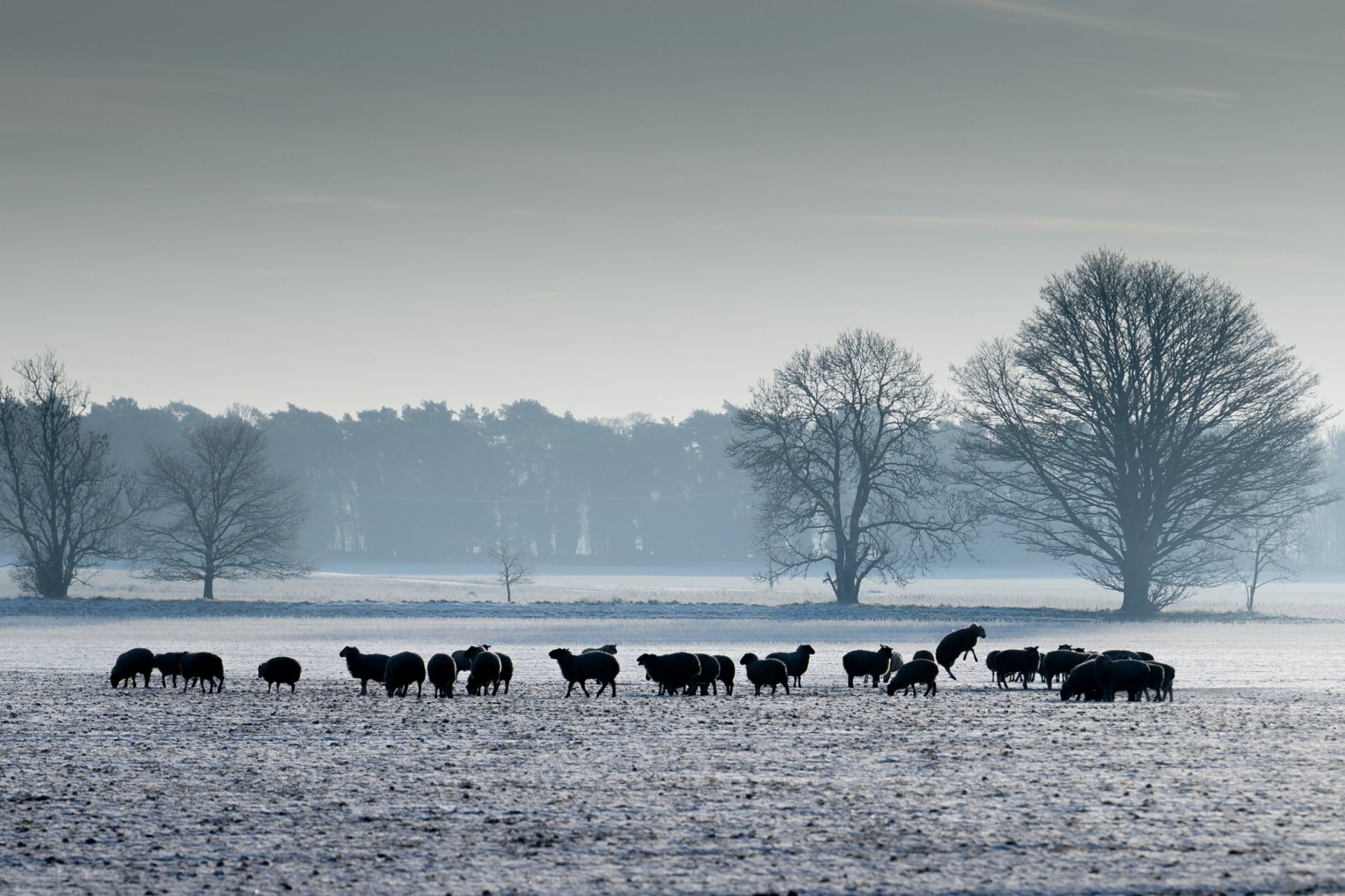 Coldest place in UK hits -12°C: See the stunning pics