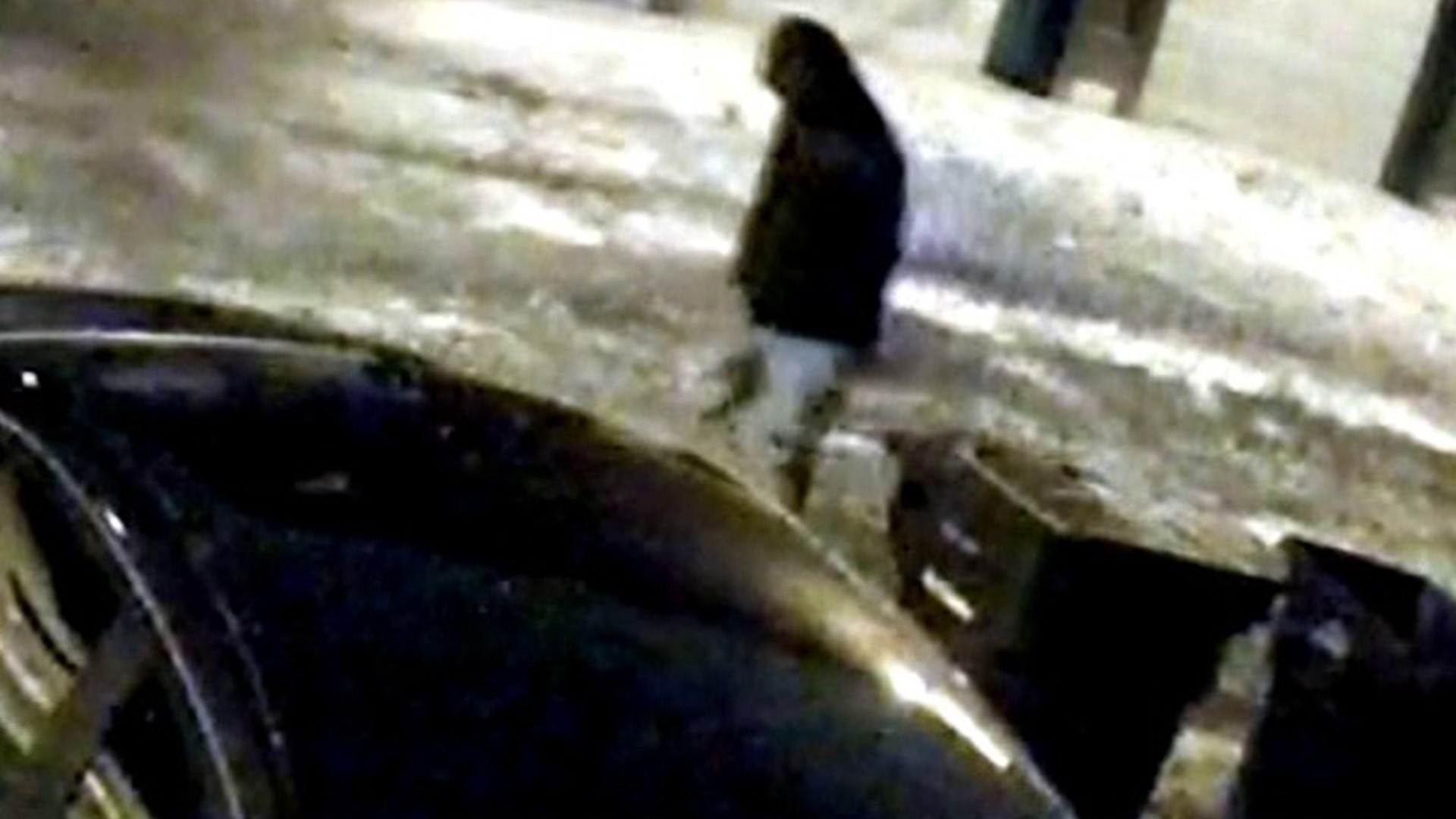 Police seek person of interest in murder of Ohio dentist and wife