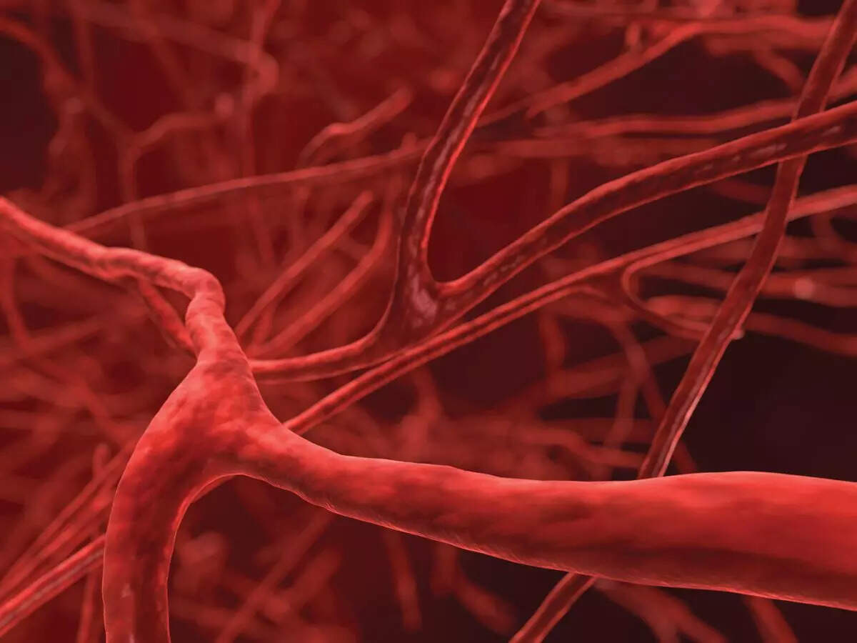 6 things your veins do when under strain