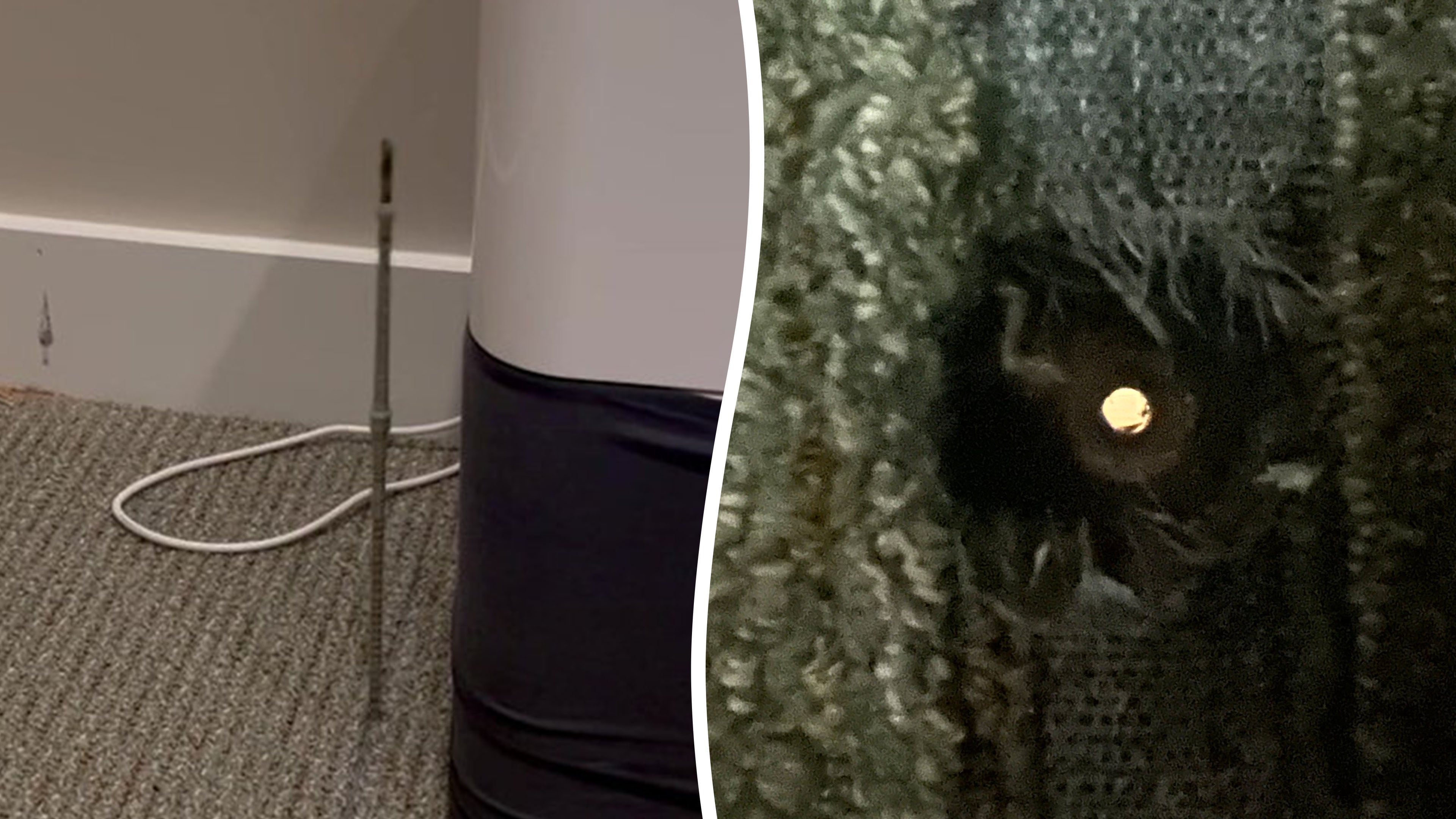 Worker drills through bedroom floor just feet from sleeping tenant