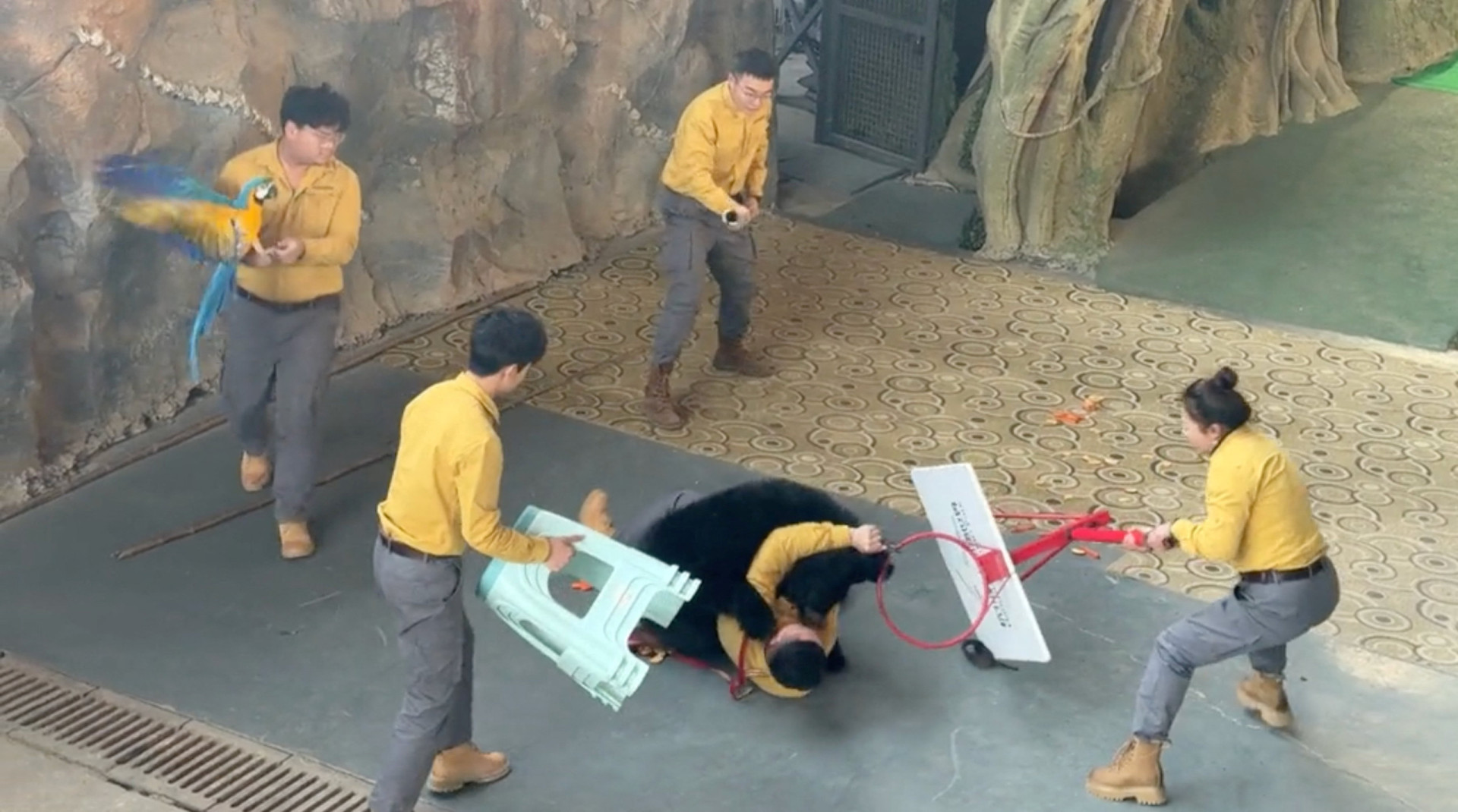 The deadliest zoo attacks in history