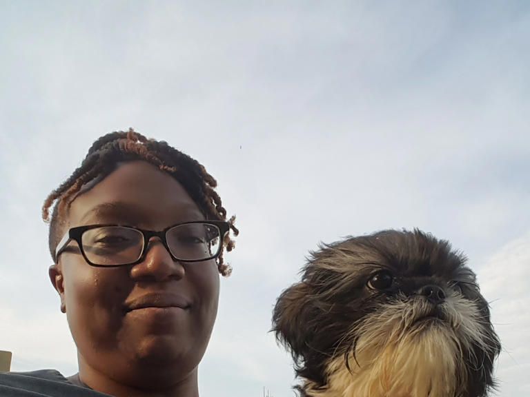 Dogs — once abandoned, now pampered — go viral after man shares rescue ...