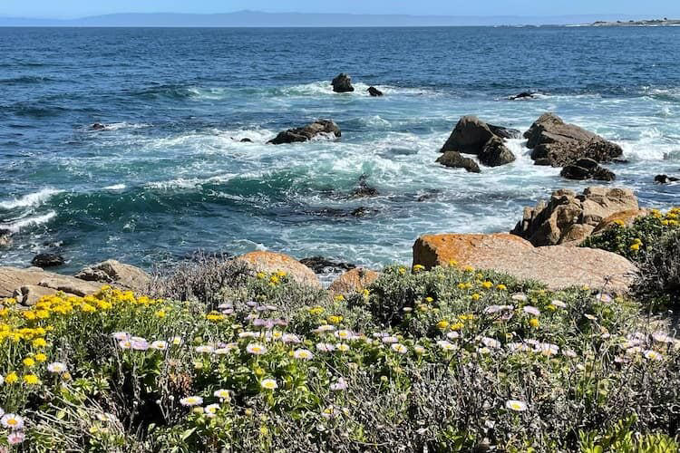 Pebble Beach’s 17-mile coastal drive delivers jaw-dropping Pacific views