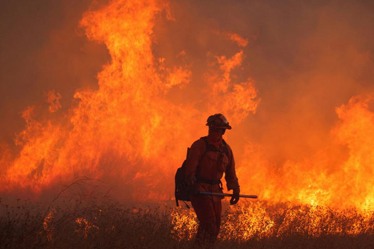 Fighting LA wildfires broke my heart but prepared me for life outside ...