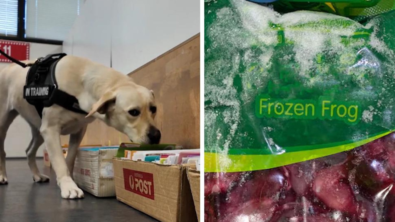 ‘Never compromise’: Aussie biosecurity blitz