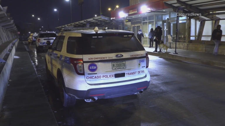 2 injured in overnight stabbing attack at Red Line station