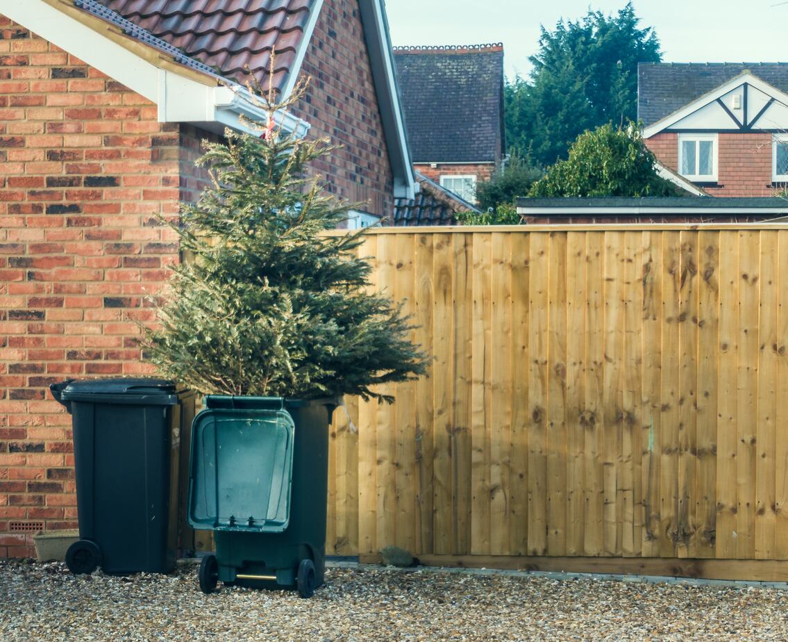 Fire officials urge removal of live Christmas trees as January fire ...