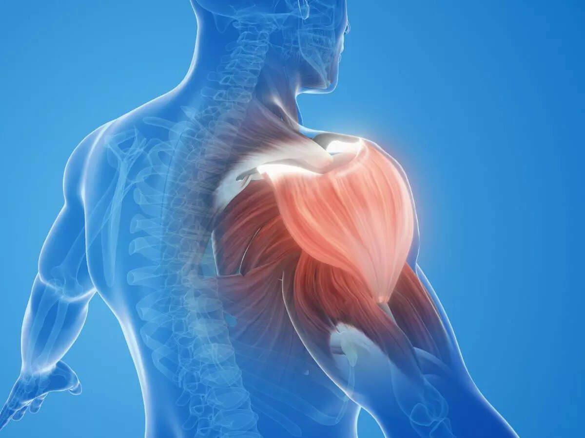 6 foods that help muscles repair